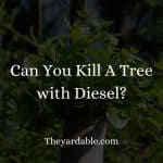 Can You Kill A Tree with Diesel? - Theyardable